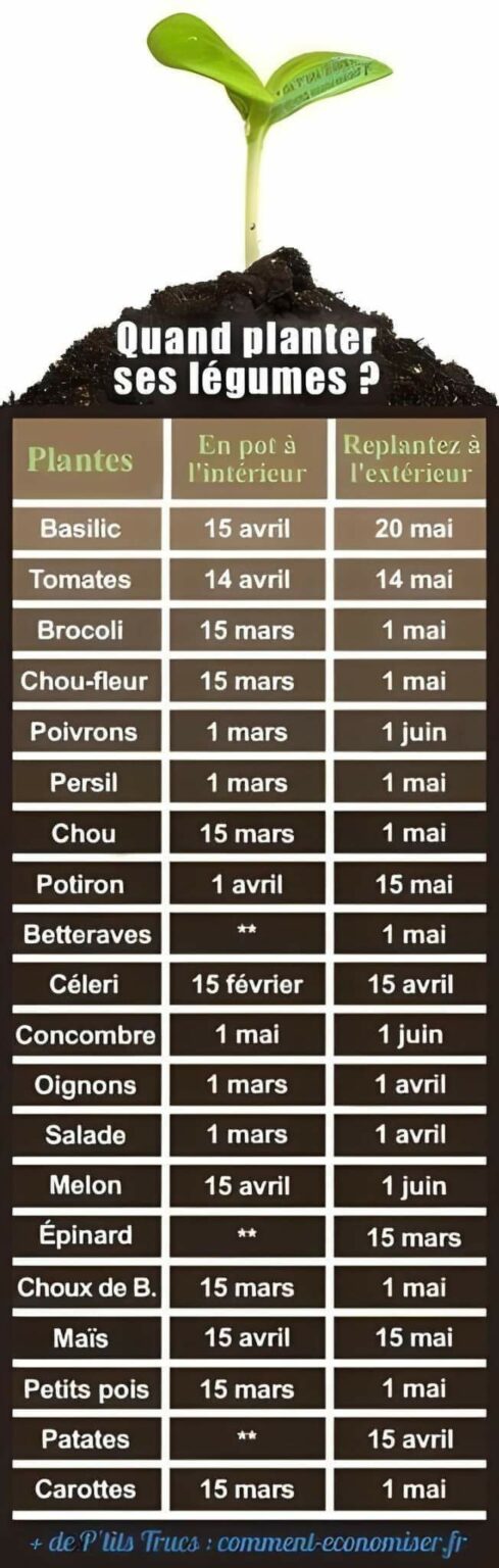 FICHE TECHNIQUE DE L’ARACHIDE – Terre de culture