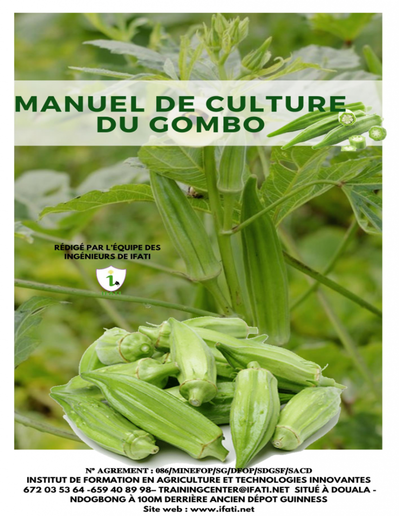 Manuel de culture du Gombo – Terre de culture