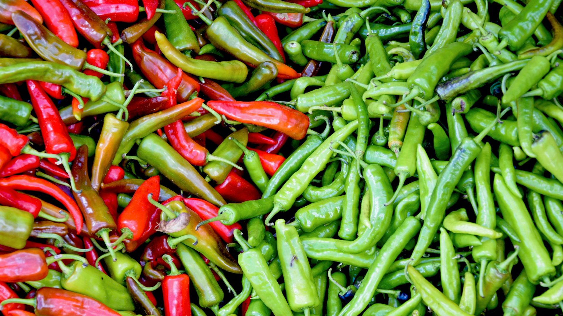 Piment – Terre de culture