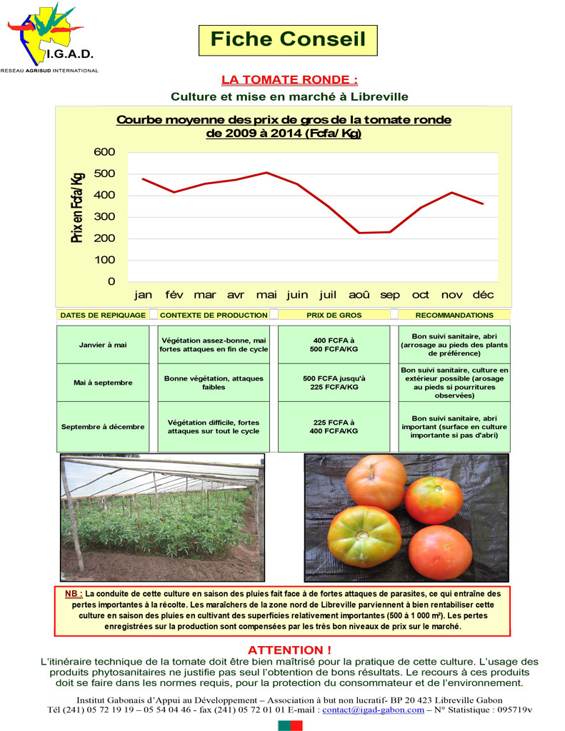 Fiche tomate ronde – Terre de culture