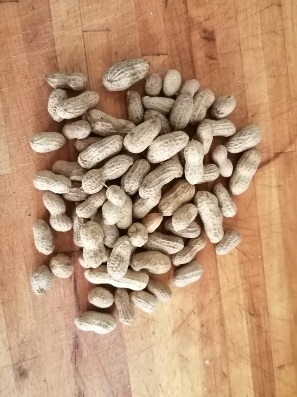 FICHE TECHNIQUE DE L’ARACHIDE – Terre de culture